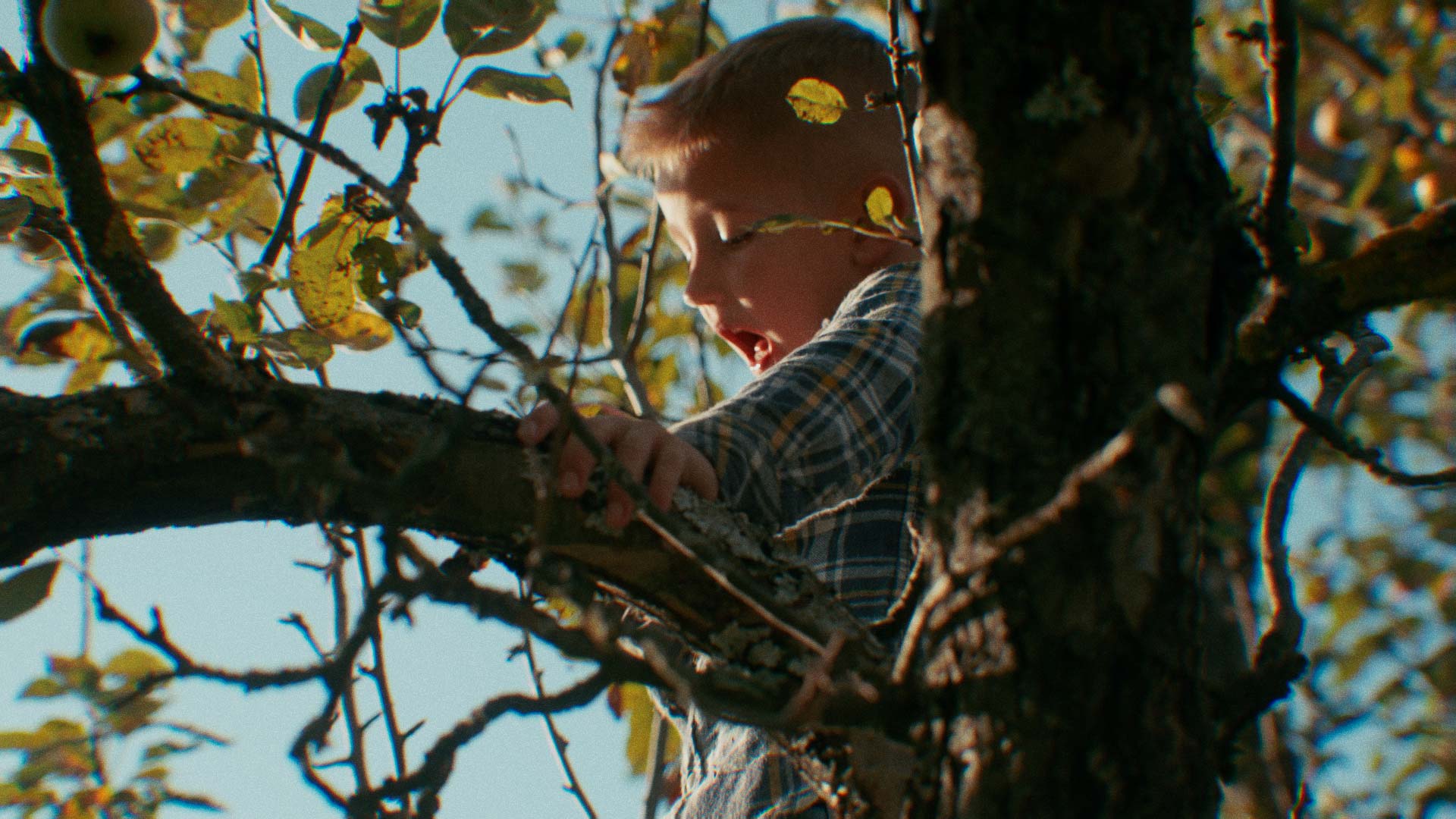 NeuralFilmAI - Accurate, Neural Network Powered Film Emulation - fylm.ai